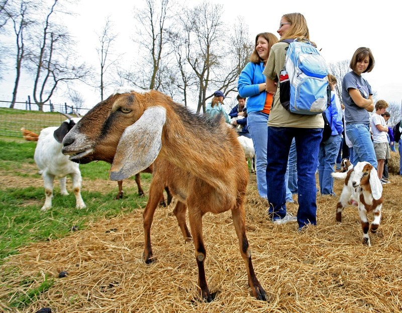 Field Trip to Dharma Farm